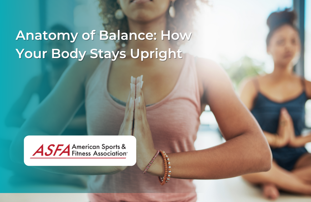 Anatomy of Balance: How Your Body Stays Upright