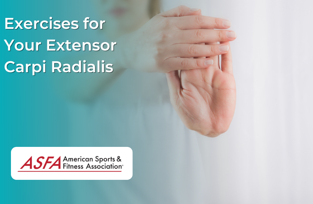 Exercises for Your Extensor Carpi Radialis