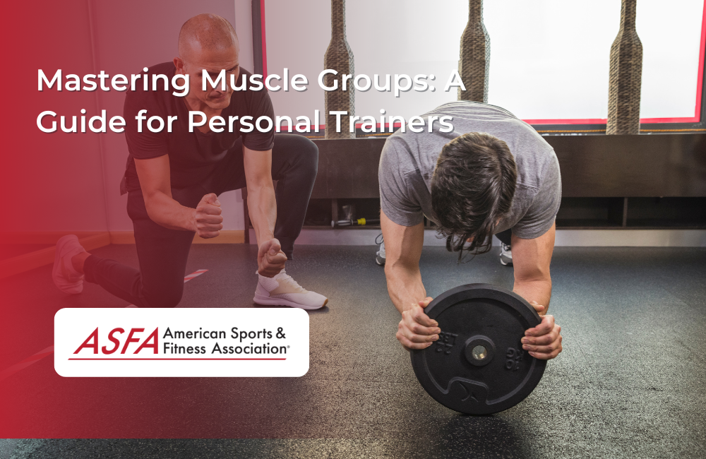 Mastering Muscle Groups: A Guide for Personal Trainers