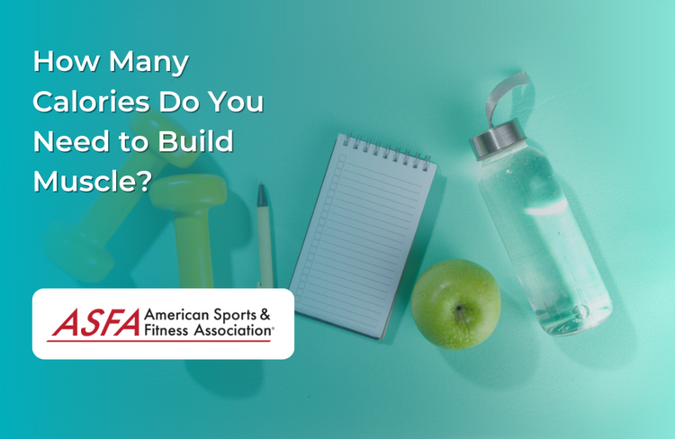 How Many Calories Do You Need to Build Muscle?