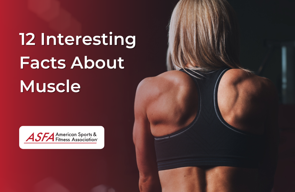 12 Interesting Facts About Muscle