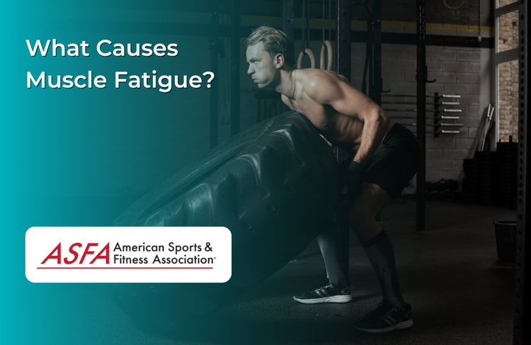What Causes Muscle Fatigue? | ASFA