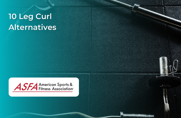 10 Leg Curl Alternatives | ASFA Fitness