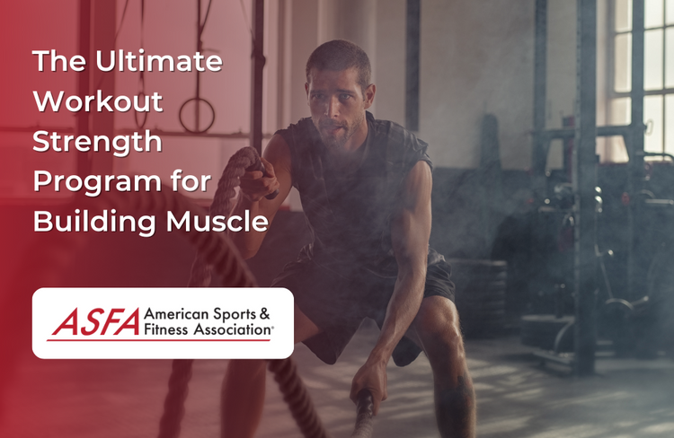 The Ultimate Workout Strength Program for Building Muscle