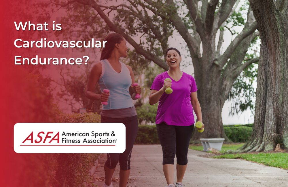 What is Cardiovascular Endurance?