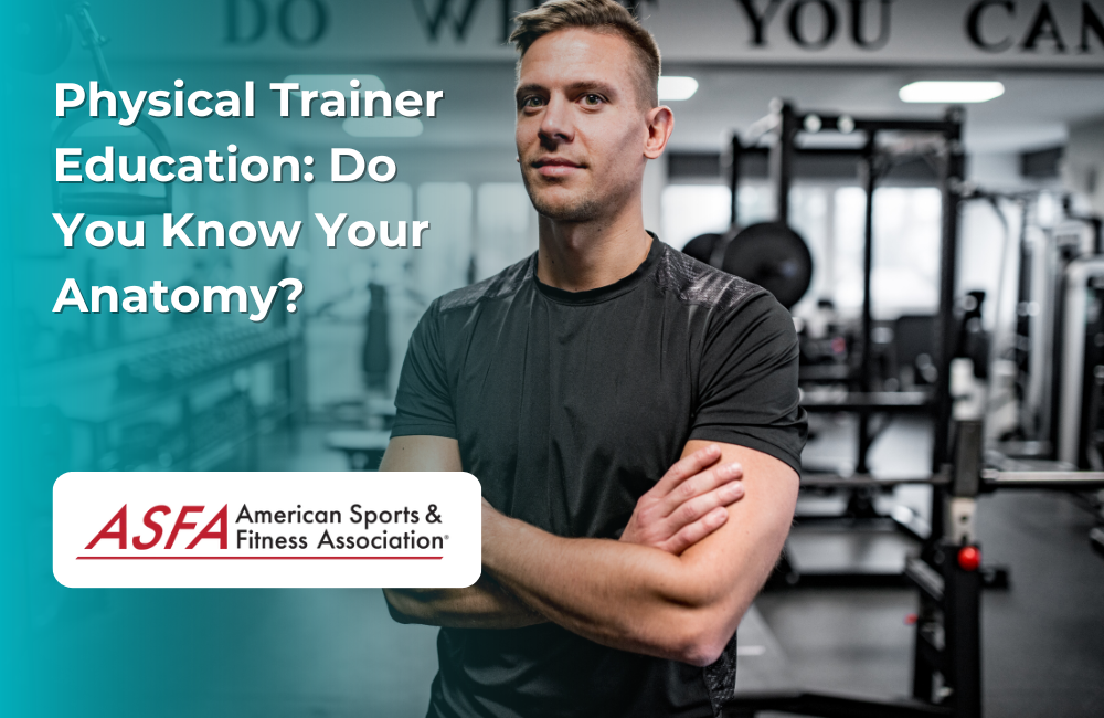 Physical Trainer Education: Do You Know Your Anatomy?