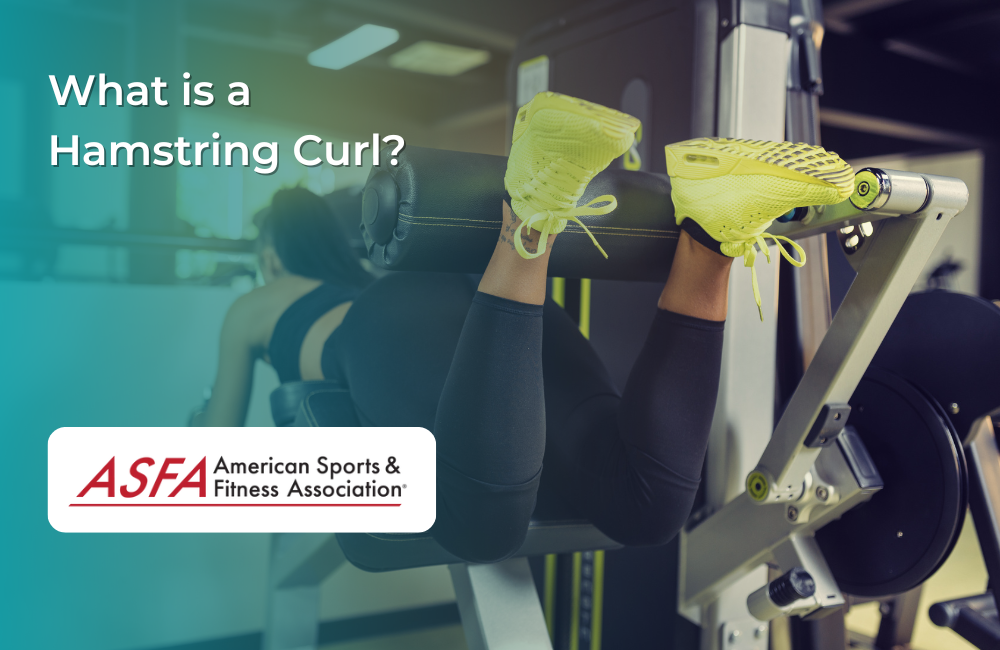 What is a Hamstring Curl? | ASFA Fitness