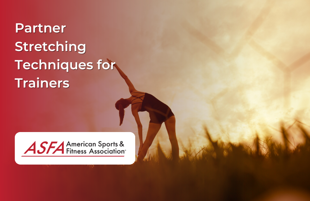 Partner Stretching Techniques for Trainers