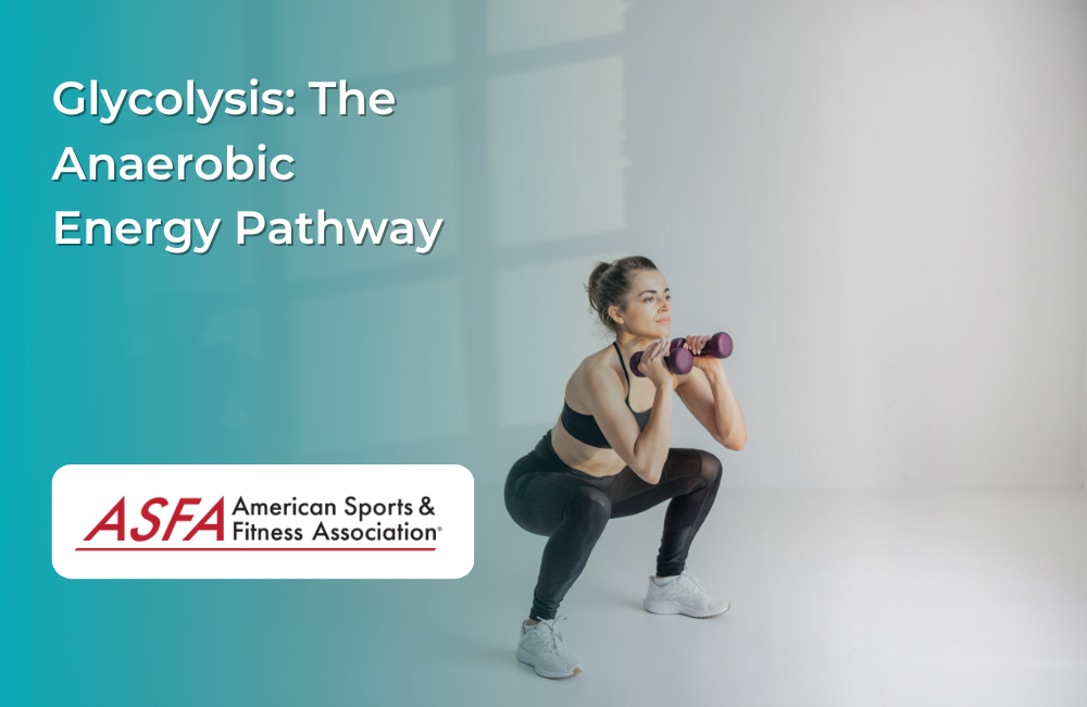 Glycolysis: The Anaerobic Energy Pathway