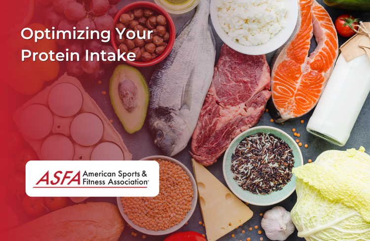 Optimizing Your Protein Intake | ASFA