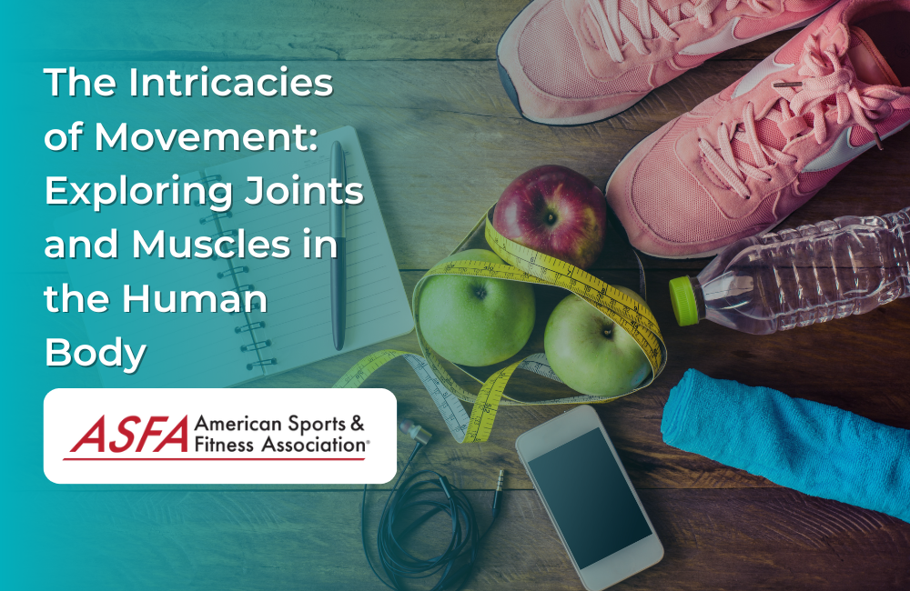 Understanding the Different Types of Joints & Muscles