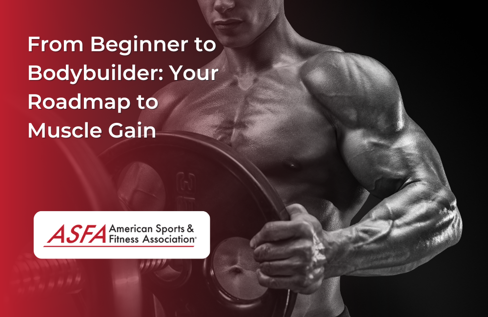 From Beginner to Bodybuilder: Your Roadmap to Muscle Gain