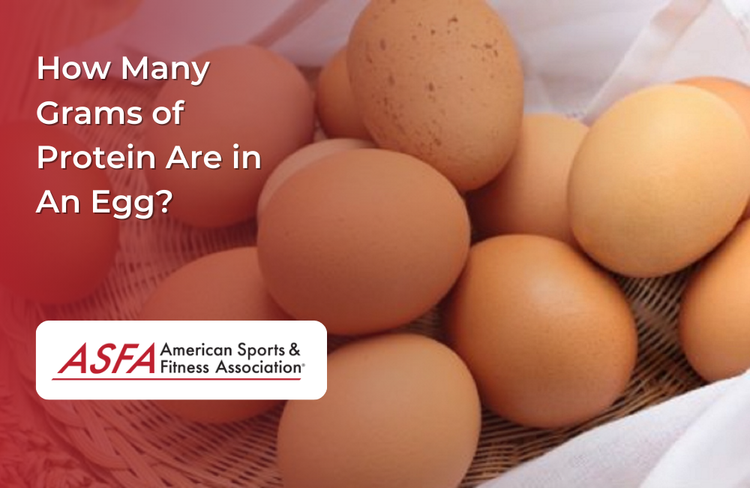 How Many Grams of Protein Are in An Egg?