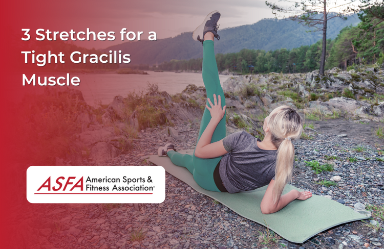 3 Stretches for a Tight Gracilis Muscle