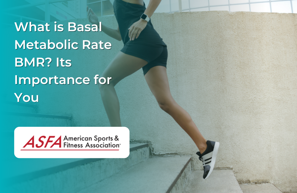 What is Basal Metabolic Rate BMR? Its Importance for You