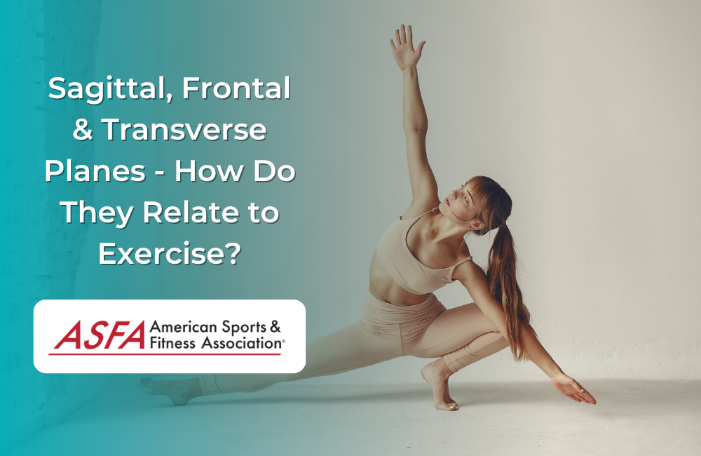 What Are the Sagittal, Frontal & Transverse Planes