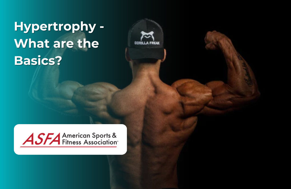Hypertrophy - What are the Basics?