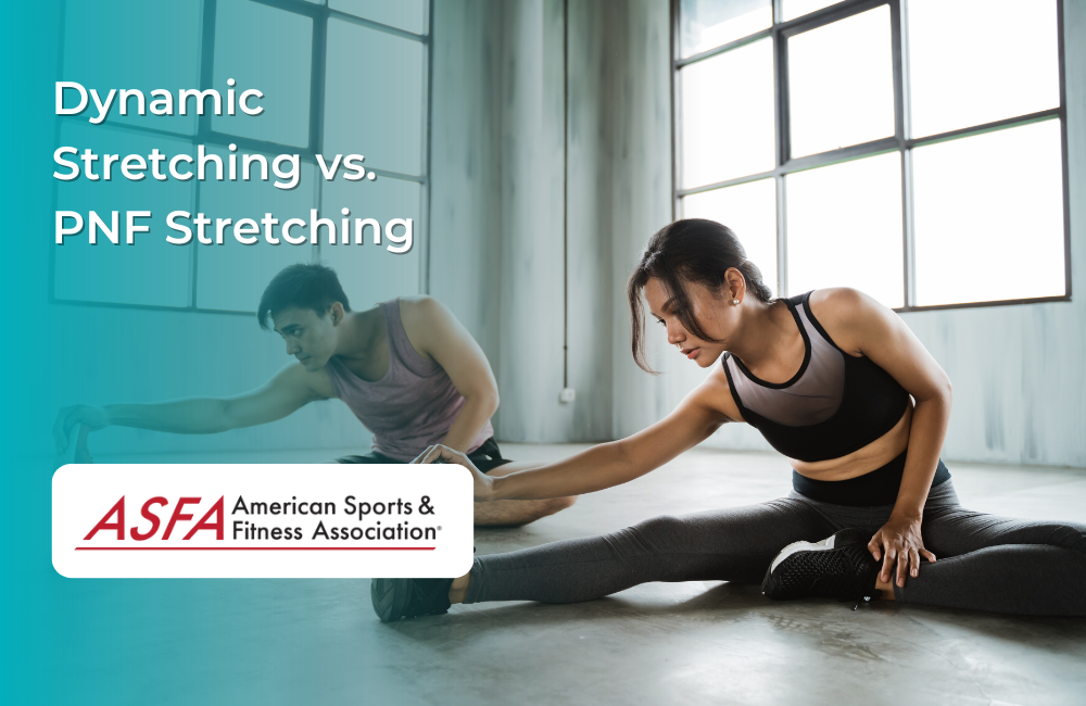 Dynamic Stretching vs. PNF Stretching