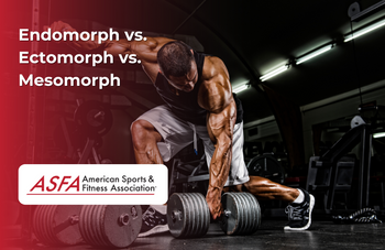 Endomorph vs. Ectomorph vs. Mesomorph