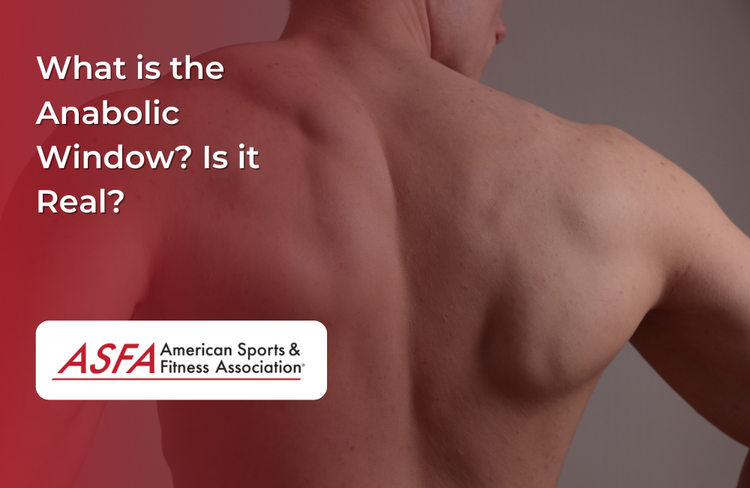 What is the Anabolic Window? Is it Real?