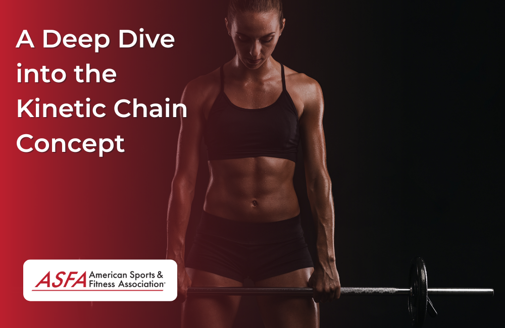 A Deep Dive into the Kinetic Chain Concept