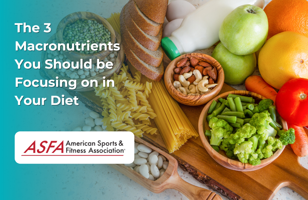 The 3 Macronutrients You Should be Focusing on in Your Diet