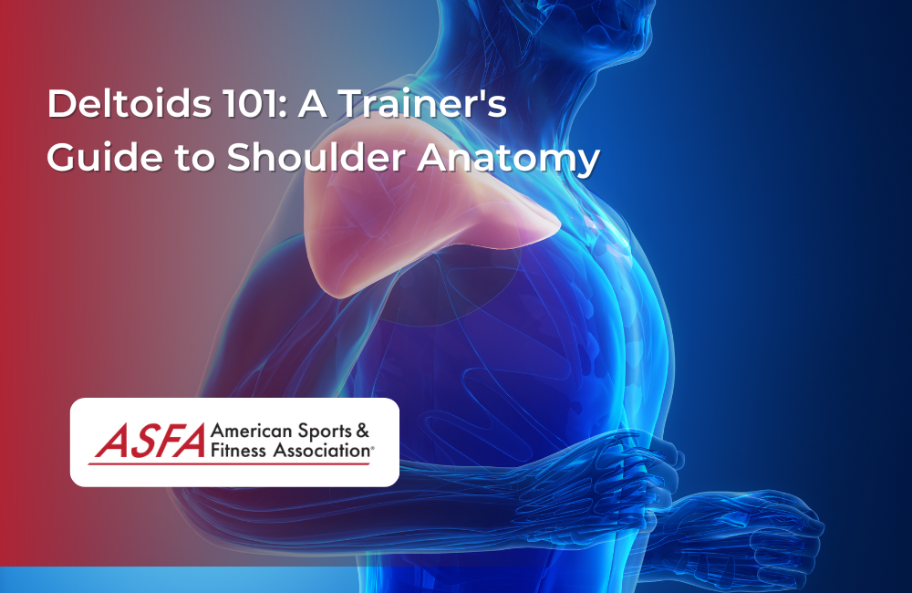 Deltoids 101: A Trainer's Guide to Shoulder Anatomy