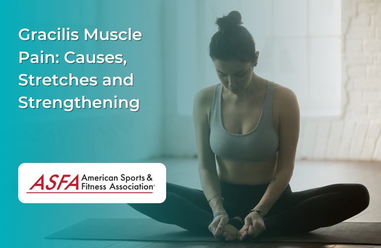 Gracilis Muscle Pain: Causes, Stretches and Strengthening