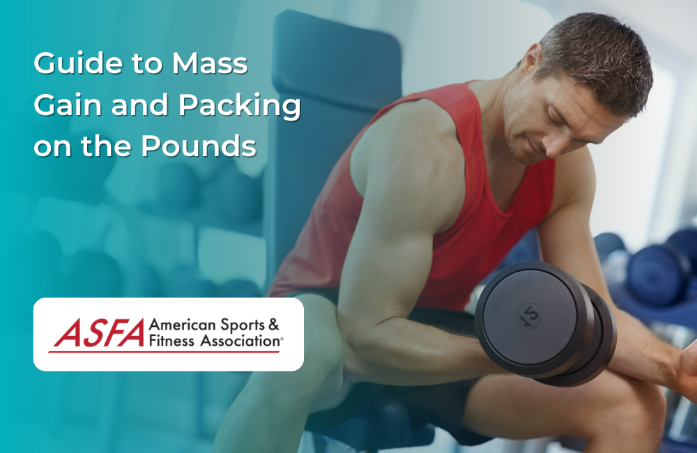 Guide to Mass Gain and Packing on the Pounds