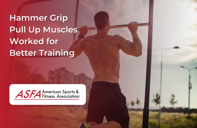 Hammer Grip Pull Up Muscles Worked for Better Training