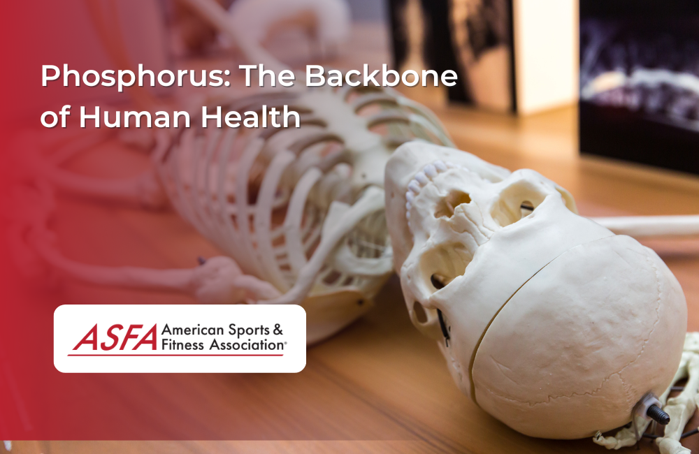 Phosphorus: The Backbone of Human Health