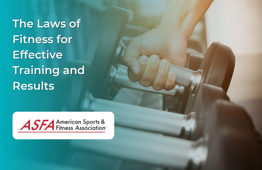 The Laws of Fitness for Effective Training and Results