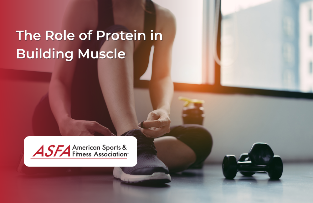 The Role of Protein in Building Muscle