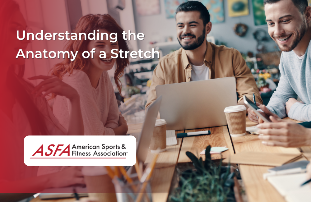 Understanding the Anatomy of a Stretch